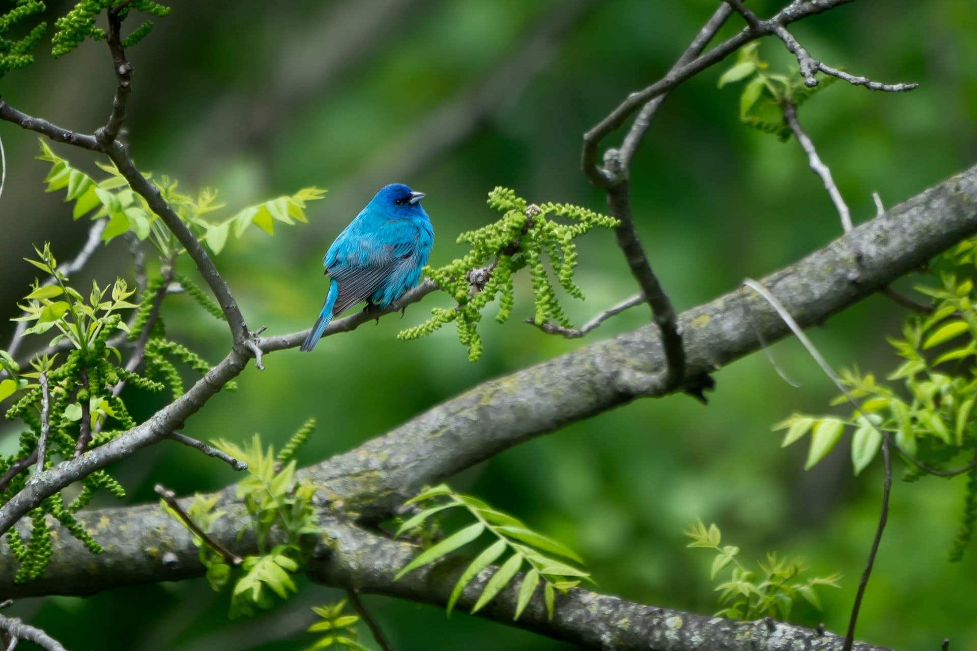 Donate to Give to Lancaster Conservancy